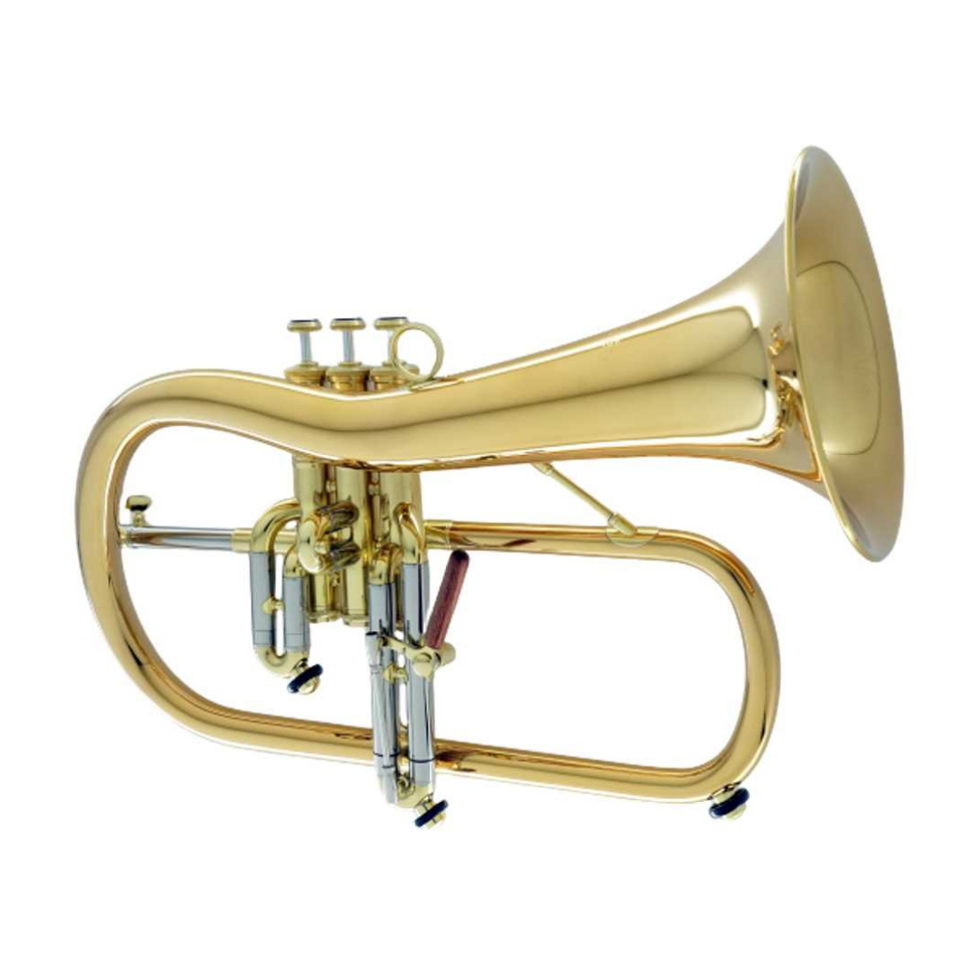 Carol Brass bugel CFL-6200-GSS(Euro)-L voordelig kopen - Sollie muziek
